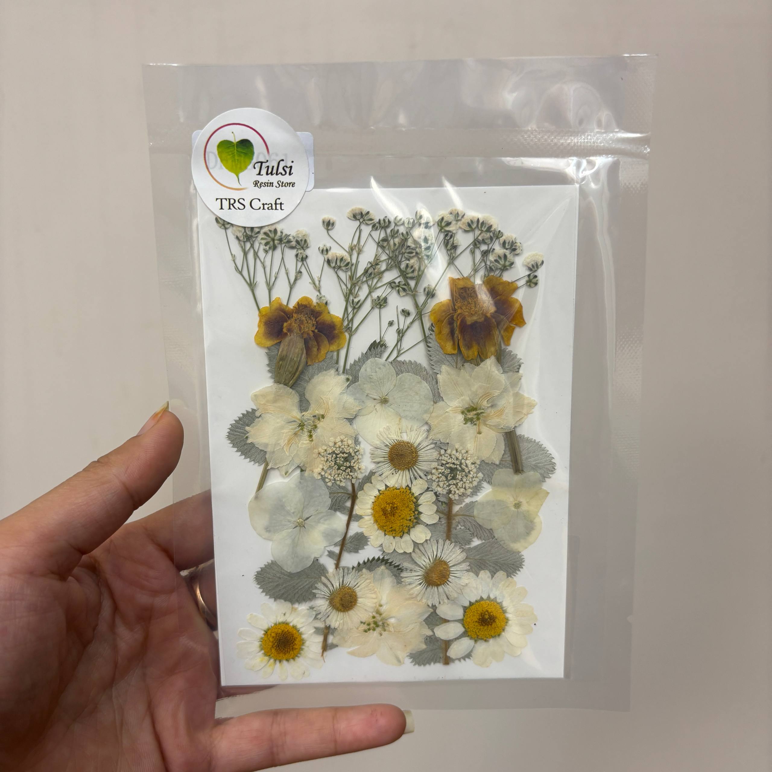 Pressed Flower Sheet Code - Q – Tulsi Resin Store