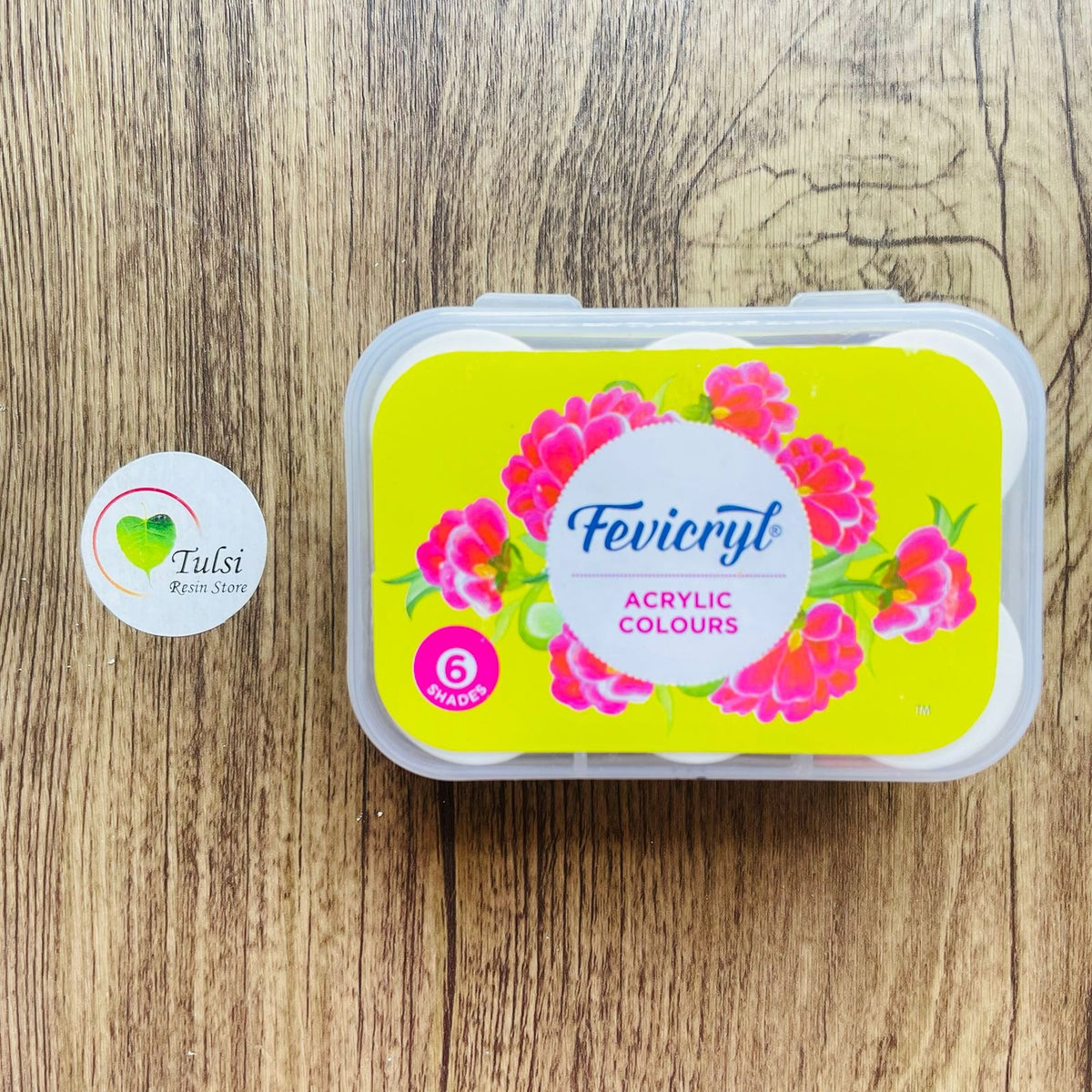 Fevicryl Acrylic Colour (6 Shades) – Tulsi Resin Store