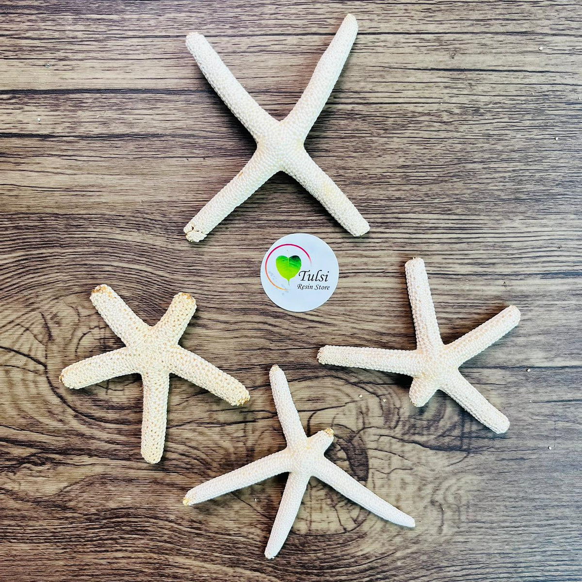 Medium Finger Star Fish (1) – Tulsi Resin Store
