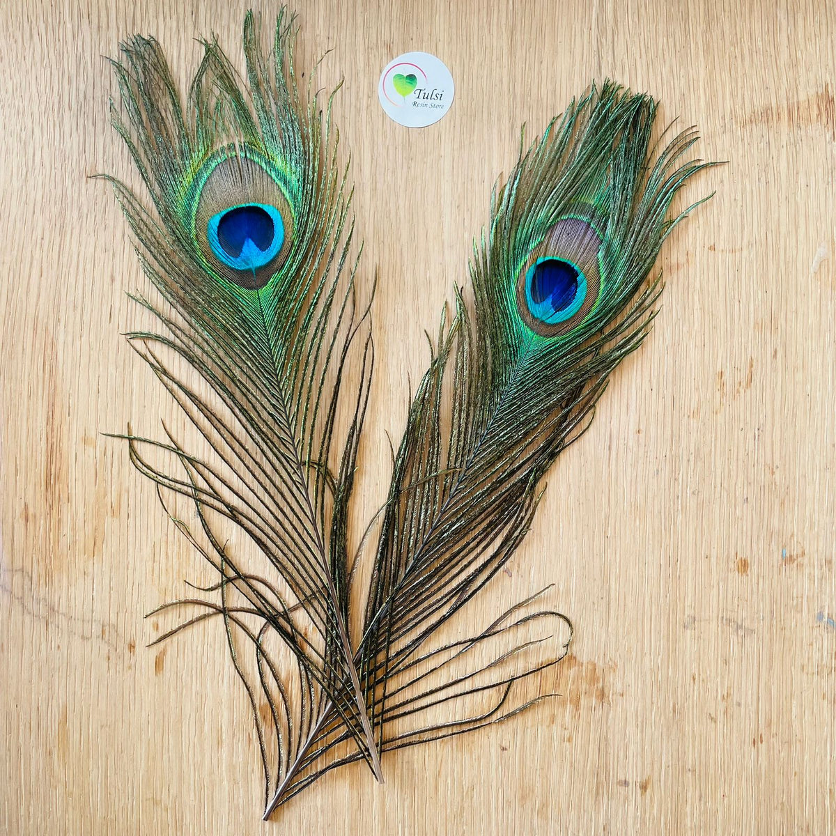 Big Morpankh Feather (2 pcs) – Tulsi Resin Store