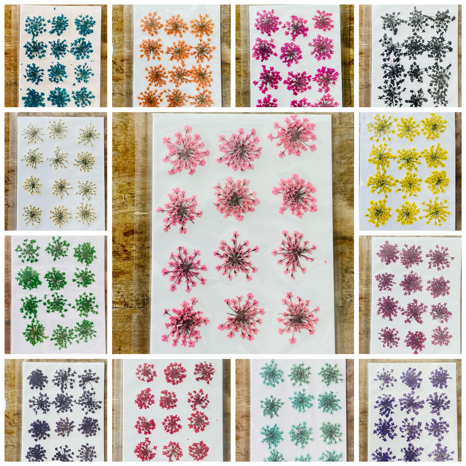 Queen Breath Pressed Flower Sheet – Tulsi Resin Store
